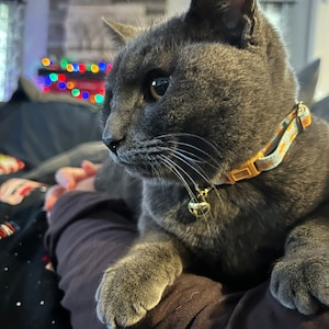 Gold Fish Cat Collar With Bell and Charm, Blue Breakaway Cat Collar ...