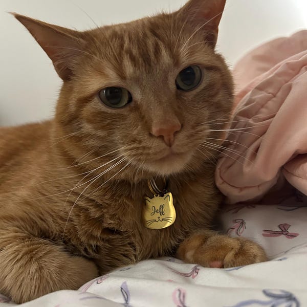 Personalized Cat Tag, Custom Cat Tag, Boho Cat Tag,star Cat Tag, Cat ...