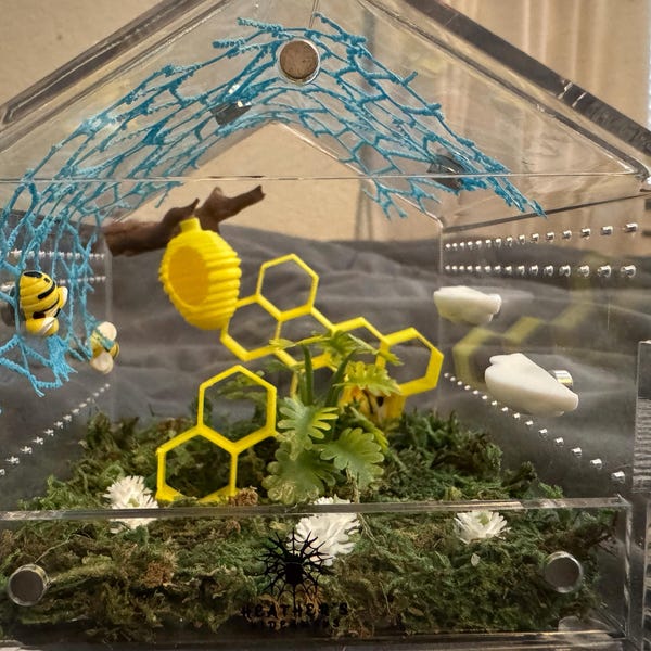 JC Decorated Hexagon Enclosures - Etsy