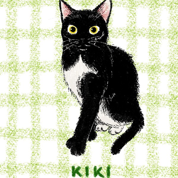 Custom Badly Drawn Pet Portrait, Personalized Cat Portrait, Unique Pet ...