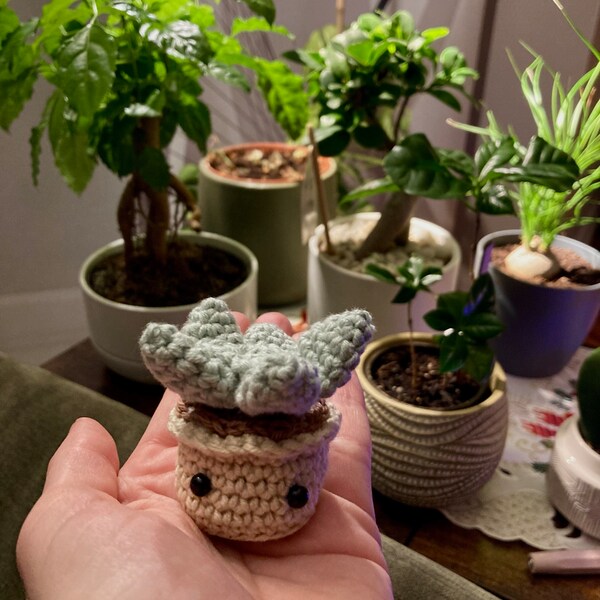 Mini Hanging Succulents Crochet Pattern - Etsy