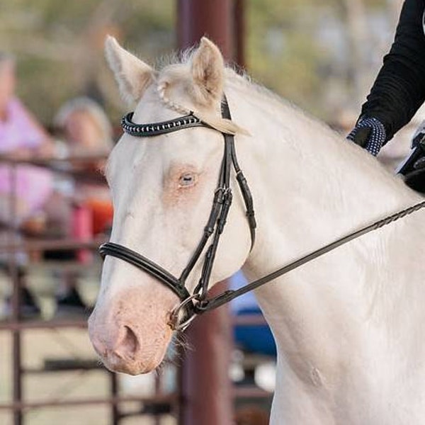 Black Crystal Browband and Matching Stock Tie Pin - English Browband ...