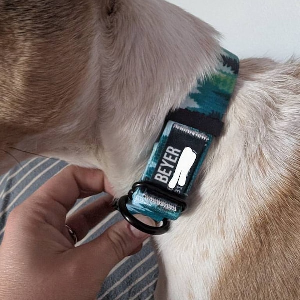 Green Chevron Dog Elite Bundle Custom Dog Collar, Leash and Harness ...