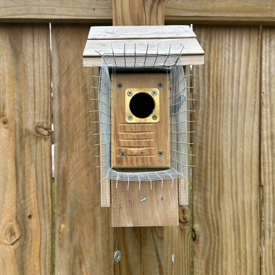 Birdhouse Predator Guard Leonard Style - Etsy