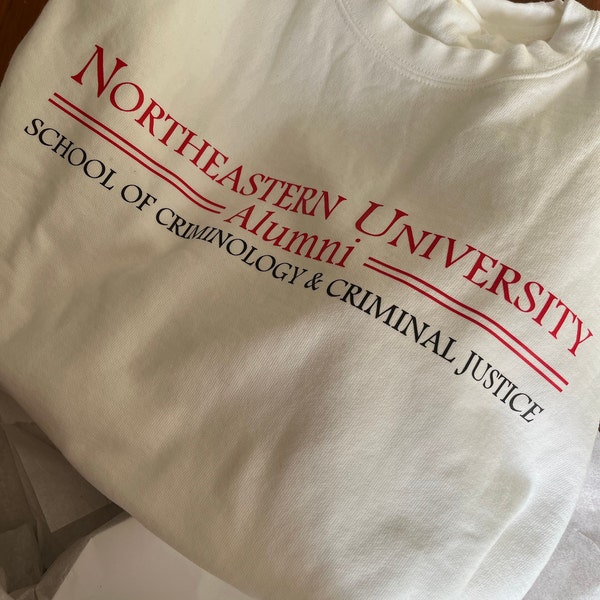 Everything is Under CTRL Comfort Colors Shirt, Computer Programmer T-shirt, Computer Science ...