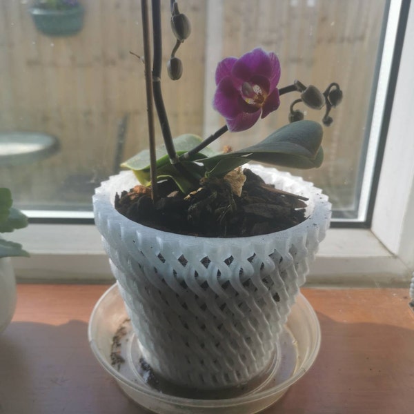 3D Printed Orchid Pot Bio-based Material, Net Basket Design, Multiple ...