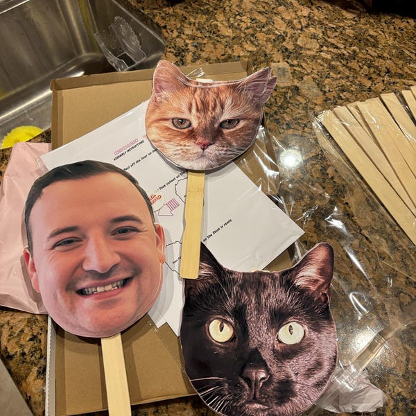 Bride to Be Sash| Hen Party Sash | Sash for Bride - Sage Green | Mother ...