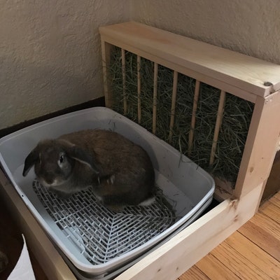 Large Hop Box: Rabbit Bunny Hay Feeder and Litter Pan Combo, Sifting ...
