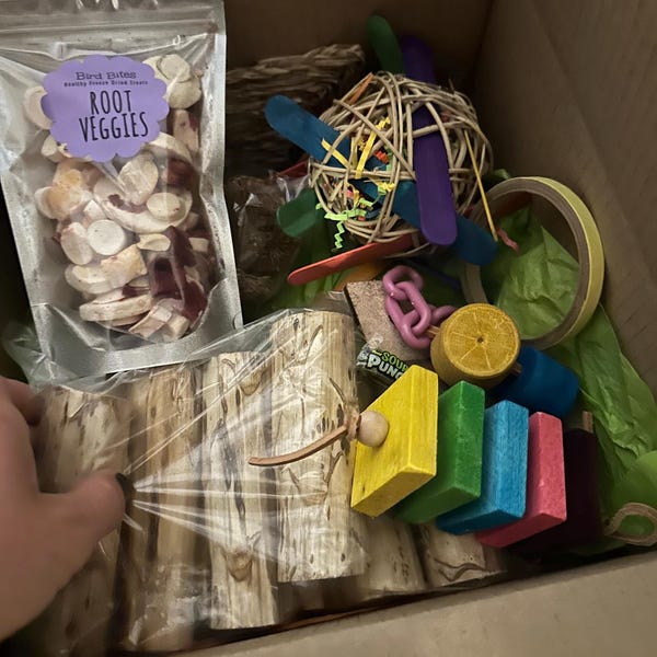 BYOT Foraging Flat - "block Party" - Interactive, Pre-made Foraging ...