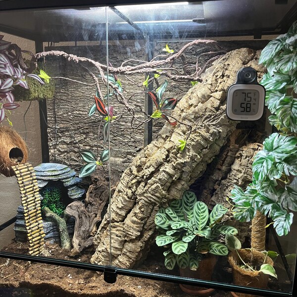 Light Stand for Arcadia LED Reptile Terrarium Light Fixture (TALL) - Etsy