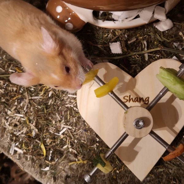 Heart Shape Hamster Feeder Toy, Food and Treat Holder, Cage Accessories ...