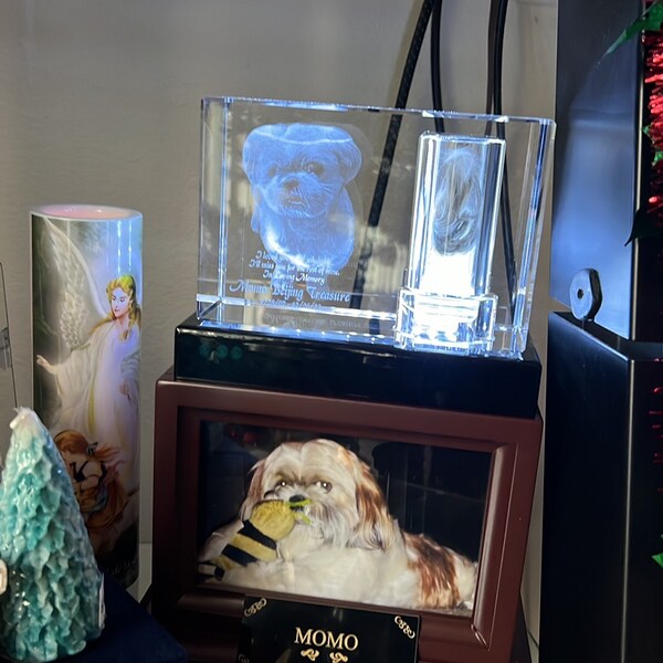 Custom Crystal Urn With 3D Picture Holds Ashes - Personalized Cremains ...
