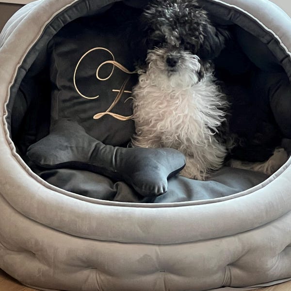 Personalized Luxury Dog Bed, Cute Custom Dog Bed, Dog Sofa, Pet Bed ...