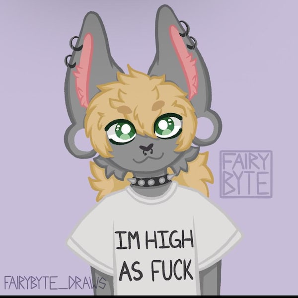 Custom Furry Fursona Commission Headshot or Shoulders up Drawing - Etsy