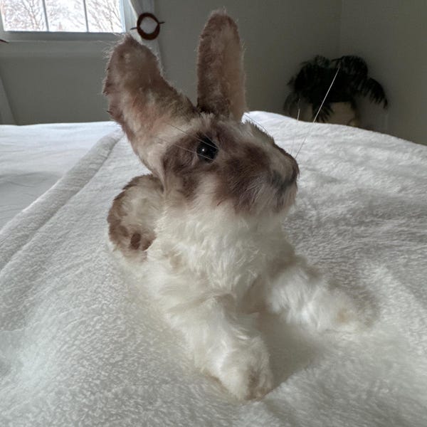 Custom Poodle Toy Plush - Handmade Realistic Dog Replica, Personalized ...