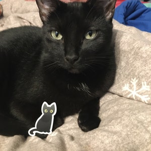 Croc Sticker Crocs White Crocs Waterproof - Etsy