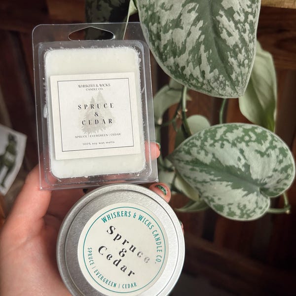 Spruce & Cedar Candle | 10 Oz. Winter Holiday Candle | 100% Soy Wax - Etsy