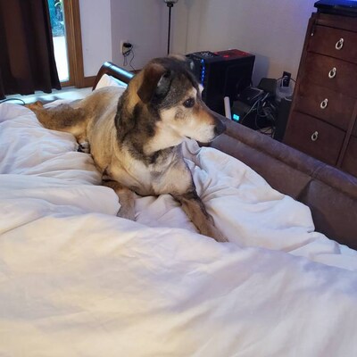 ENTITY REMOVAL: Clear Your Energy Field Objects and Your - Etsy