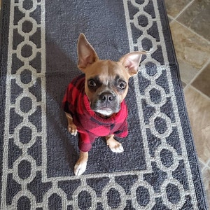 Lumberjack Small Breed Dog Coat Poncho - Etsy