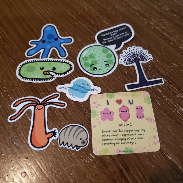 Cute Microorganism Critters Sticker Set - Etsy