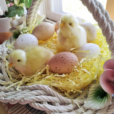 Kawaii Girl's Pink Shoe Buckle Charm - Etsy