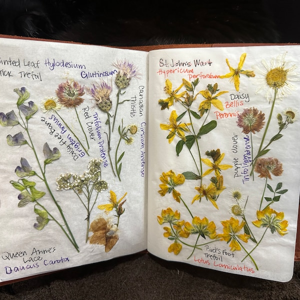 S005: Onion Skin Paper 34 GSM 80 Pages 160 Pages Notebook - Etsy