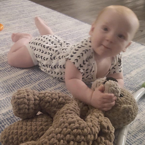 Extra Large Dinosaur Stuffie | Dino Chubby Plush | Crochet Dinosaur ...