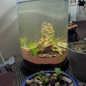 Tan Colored Sand 12oz 1 cup vol. Tan Unity Sand Tan | Etsy