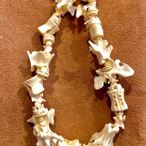 25 Pcs Fox Bone Vertebrae. A Complete String of Fox Spines. - Etsy