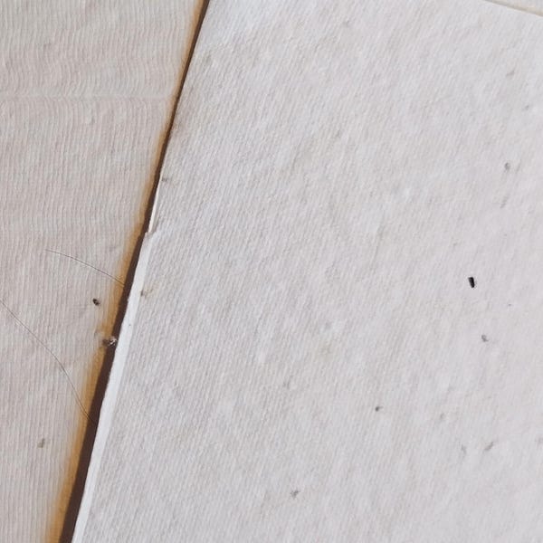 Printable A4 Seed Paper Printer Safe - White Printable Seeded Paper ...