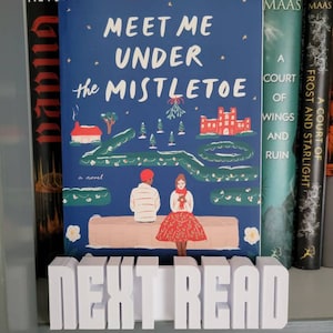 Booktok Bookshelf Guide Align Books Perfectly - Etsy