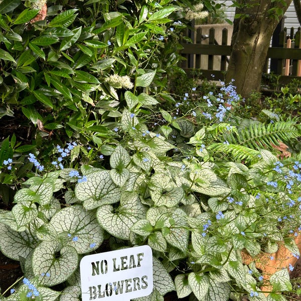 Custom Willow Tree Metal Sign,willow Tree Sign,willow Tree Wall Art ...