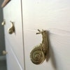Snails Brass Knobs and Pulls/drawer Knobs/custom Engraved Cabinet Pulls/wardrobe Pulls/offices ...