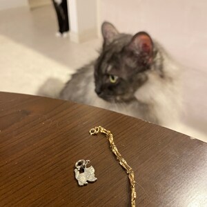 Vintage Maruri Porcelain Blue Tit Bird, Porcelain Figurine - Etsy