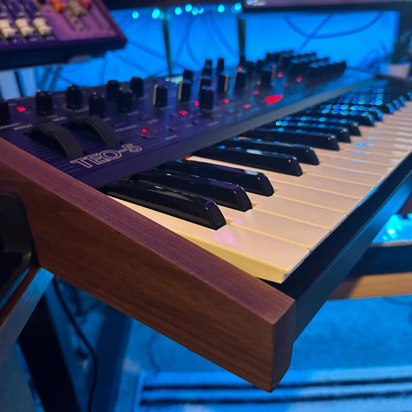 Korg Ms-10 & Ms-20 Wood Side Panels - Etsy