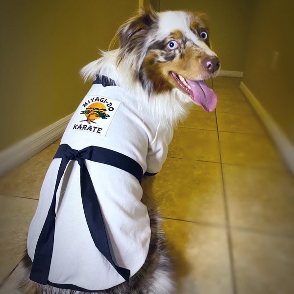 Karate Kid Miyagi Do Dojo Embroidered Sew on Iron on Patch Badge Daniel ...