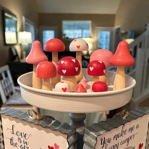 DIY Painted Mushroom Kit, Mushroom Craft Kit, Mushroom Gift - Etsy