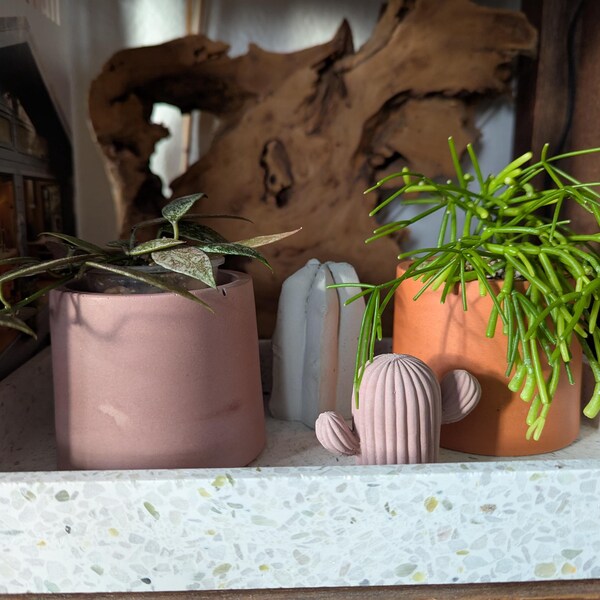Small Planter,small Concrete Planter,succulent Planter,cactus Planter ...