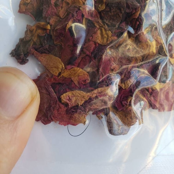 Arabic Shish Touk , Mix Street Style Food Rice Curries Street Food ...