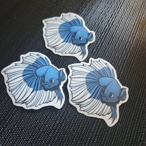 Flaring Betta Fish Sticker Red and Blue, Blue and White, Purple glossy ...