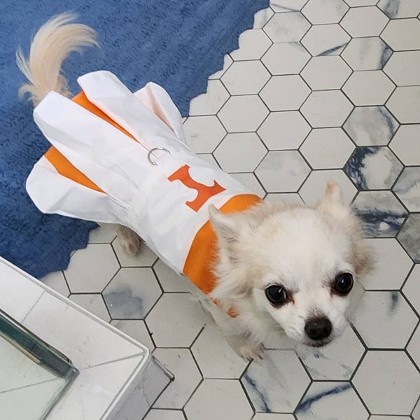 Dog Show Training Stack Box Toy Adult Size Stack Training 20" X 12 ...