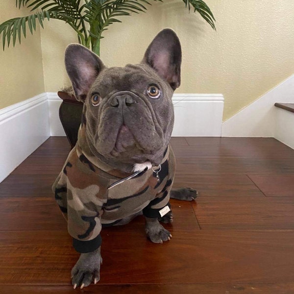 French Bulldog, French Bulldog Clothes, French Bulldog Hoodie, French ...