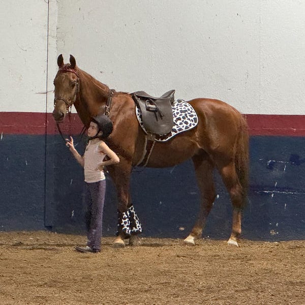 Fruits Theme Saddle Pad Sets; Stylish Strawberry Equestrian English ...