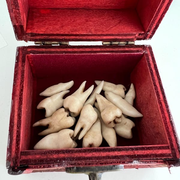 Aged Human Teeth in a Box - Curiosities - Weird Creepy Stuff - Etsy
