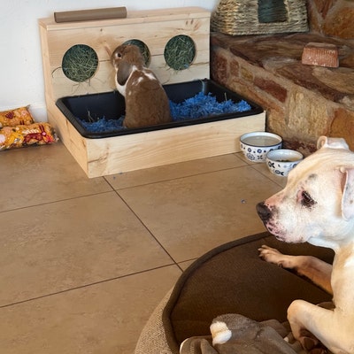 XL 1.0 Circle/heart Hop Box: Rabbit Bunny Hay Feeder and Litter Pan ...