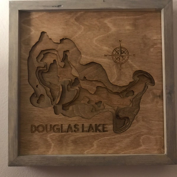 Douglas Lake Topographical Map - Etsy
