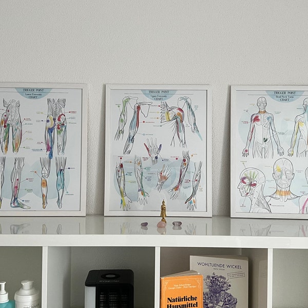 Fascia Lines Anatomy Poster | SANDYSPINES | Art for Chiropractors ...