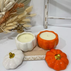 Halloween Apothecary Potion Rack Set of 5 Test Tube Vials in - Etsy