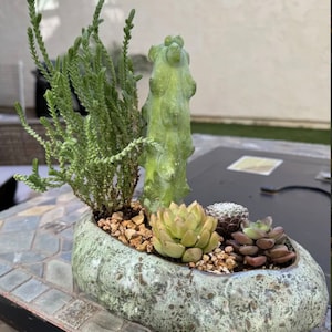 Premium Large Shallow Succulent Planter Pot, Ceramic With Decorative ...