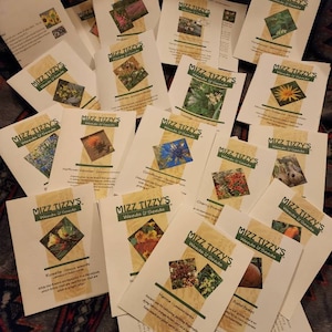 Cherokee, North Georgia Candy Roaster Squash . Cucurbita Maxima - Etsy